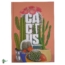 Cactus, Nopal, plantes grasses & plantes extraordinaires - Kajuard Plantes